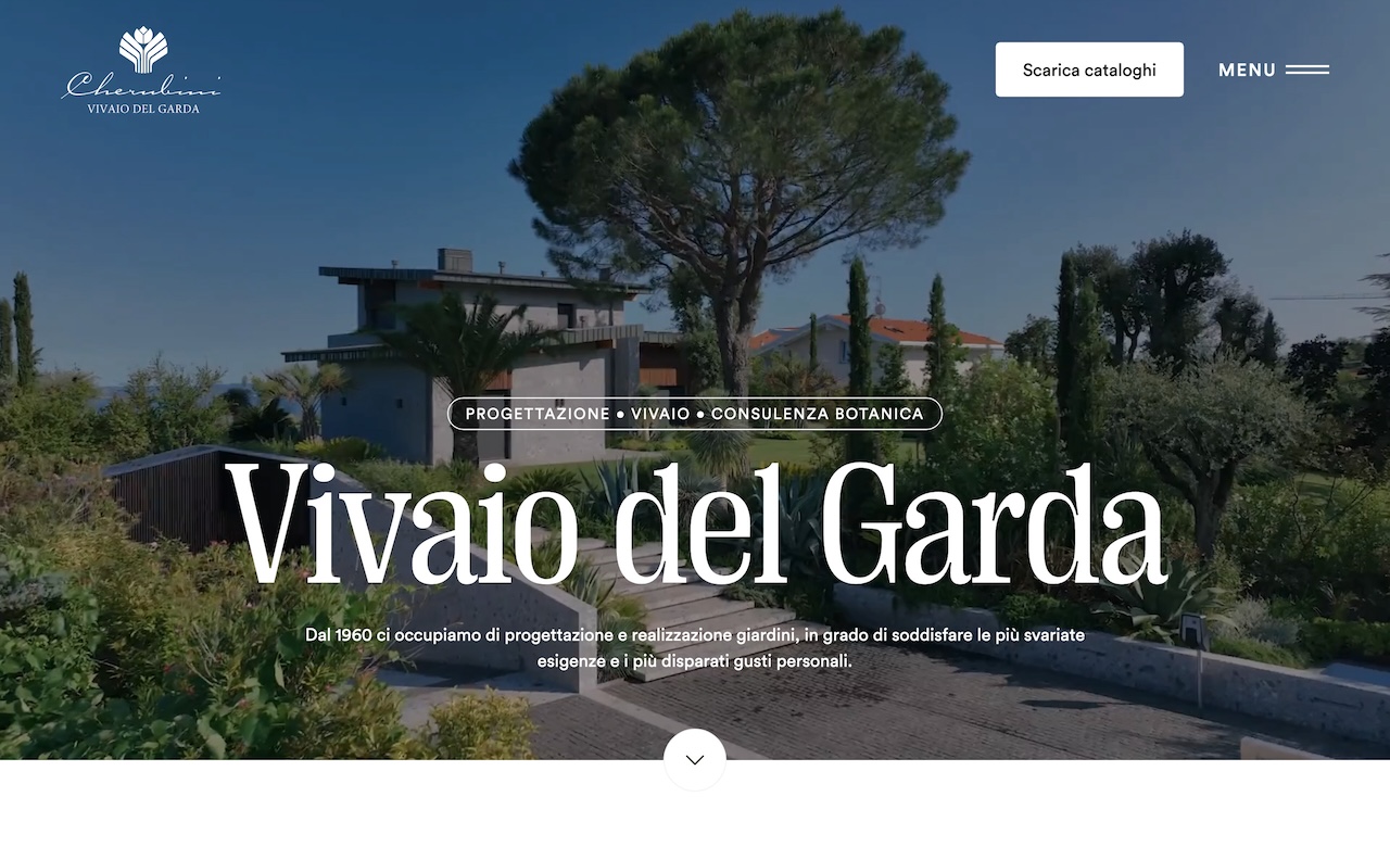 Best CSS, Website Gallery, CSS Galleries, Best CSS Design Gallery, Web Gallery, CSS Showcase ...