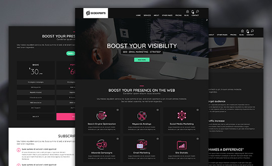 SEOEXPERTS,Best CSS, Website Gallery, CSS Galleries, Best CSS Design Gallery, Web Gallery, CSS ...