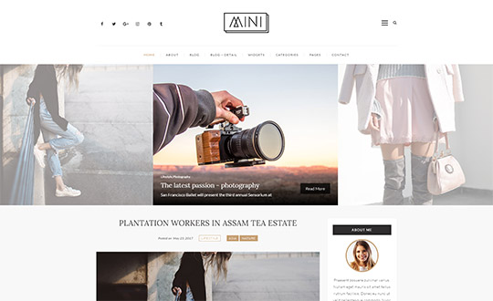 MINI Minimal Blog WordPress Theme,Best CSS, Website Gallery, CSS ...